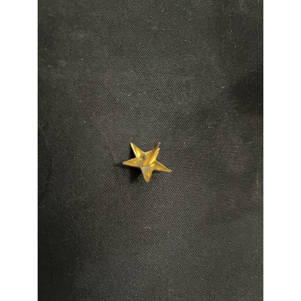 Jual Pin Bintang Pin Bintang 1,5 cm Paku Pin Bintang Paku | Shopee ...