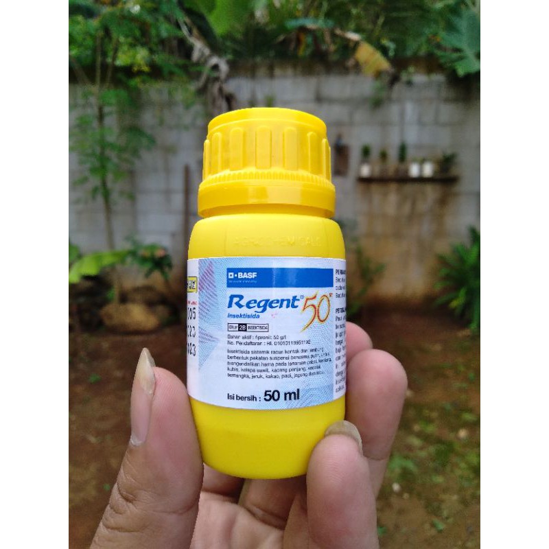 Jual REGENT 50SC REGENT CAIR REGENT INSEKTISIDA REGENT OBAT SEMUT 50ML ...