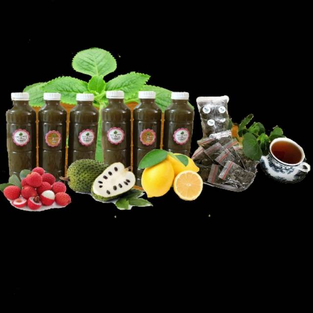 Jual JUS TORBANGUN Daun BANGUN-BANGUN (PAKET ASI BOOSTER 1 MINGGU ...