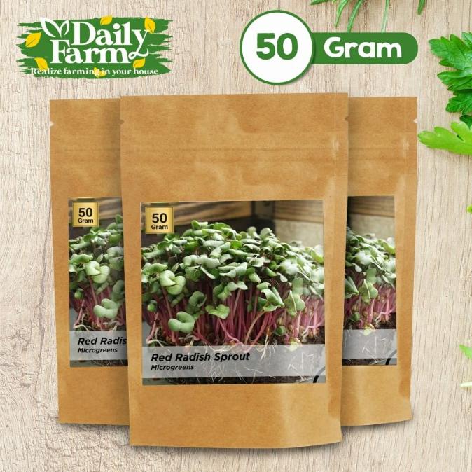 Jual Benih Sayur Microgreens Red Radish Sprout ( 50 Gram ) | Shopee ...
