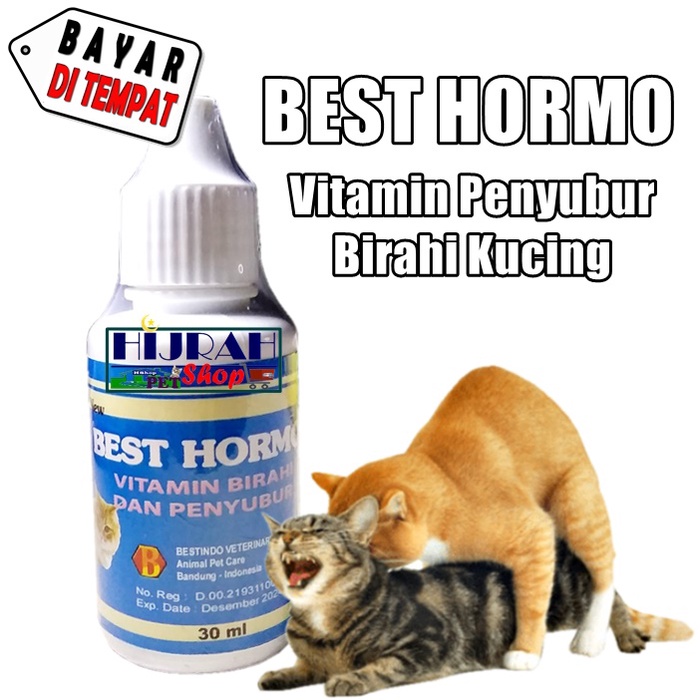 Jual Obat Kucing Vitamin Kucing Suplemen Kucing Meningkatkan Birahi ...