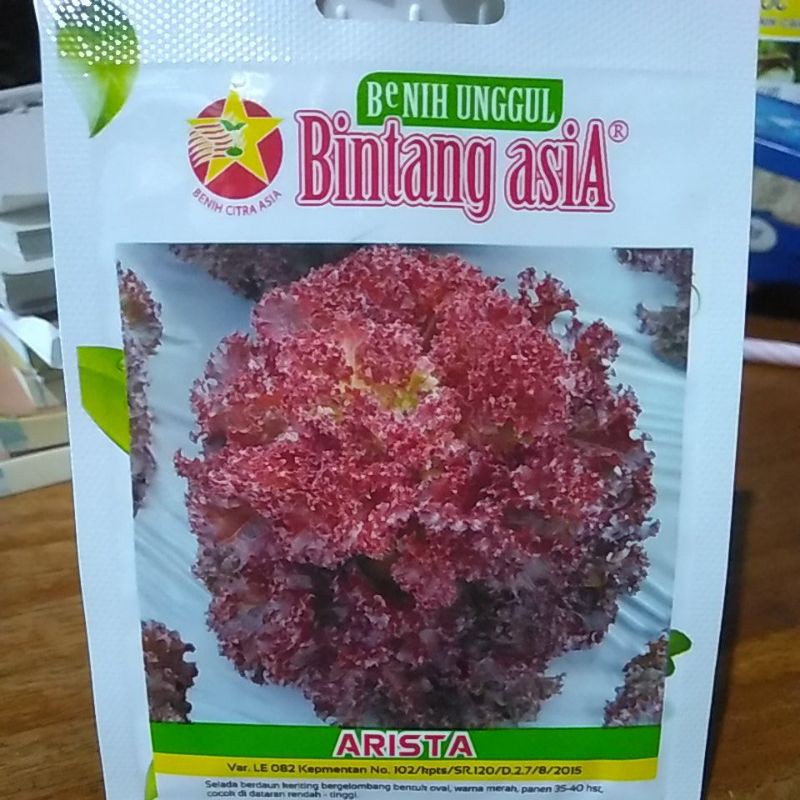 Jual selada merah | Shopee Indonesia