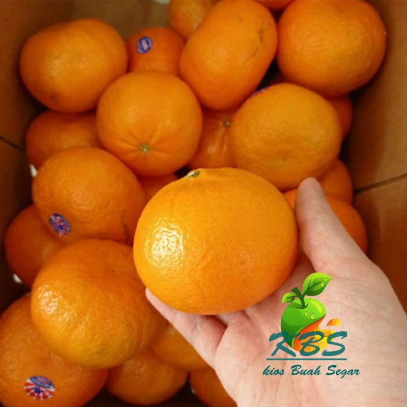 Jual jeruk honey murcot 1kg | Shopee Indonesia