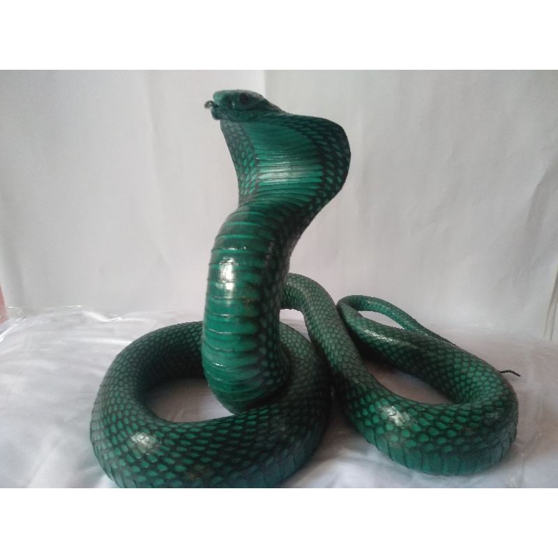 Jual patung ular cobra asli warna hijau model 1A | Shopee Indonesia