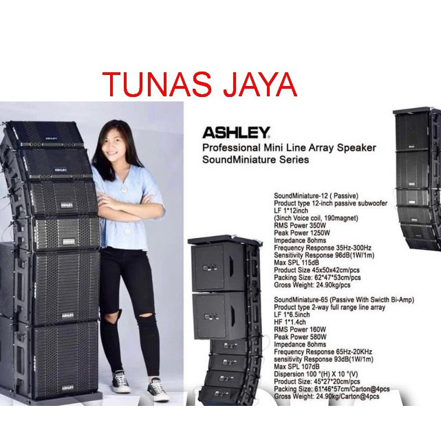 Jual Speaker Line Array Ashley Mini Soundminiature Series | Shopee ...