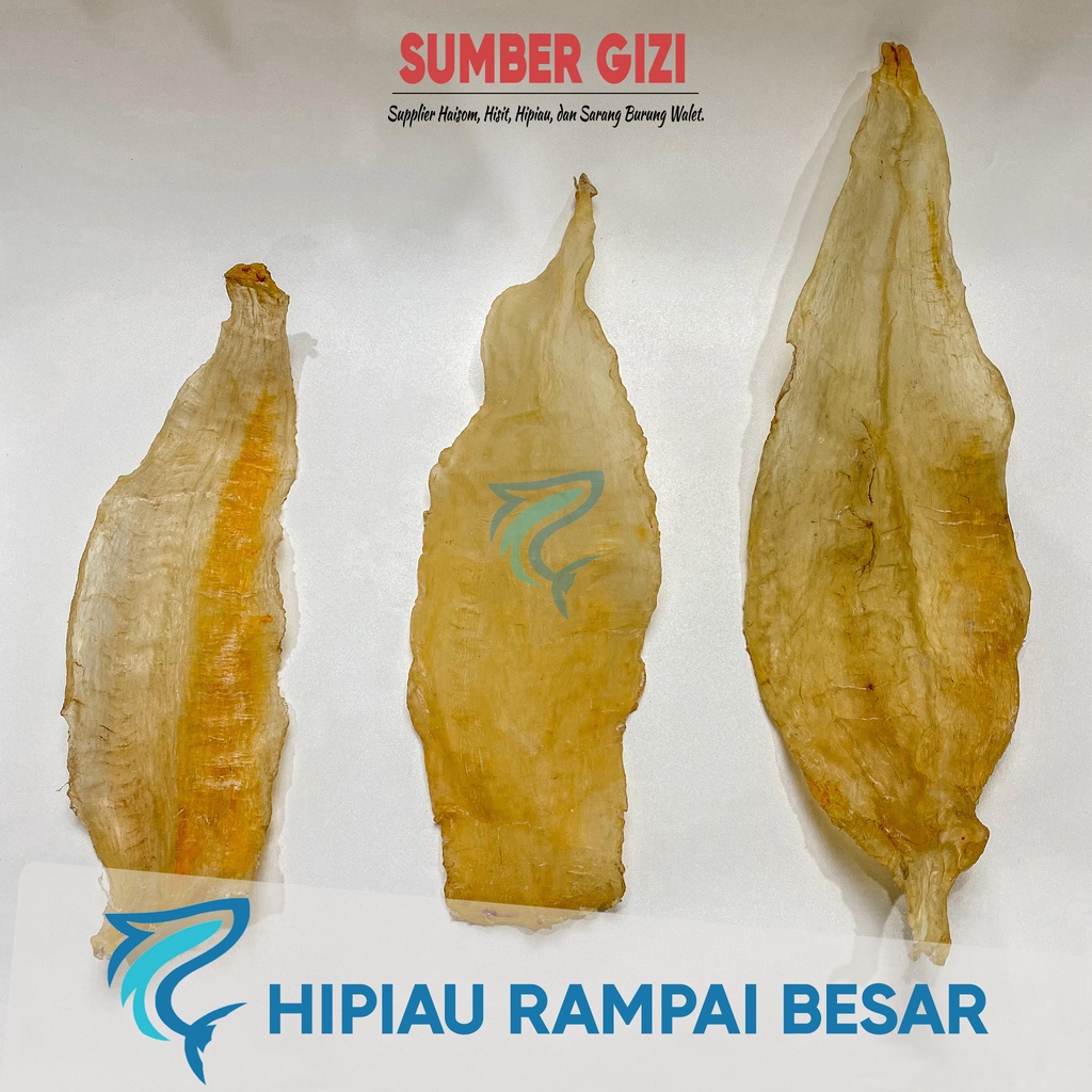 Jual YI PHIAU HIPIAU HIPIO PERUT IKAN RAMPAI BESAR/ GELEMBUNG IKAN KURO ...