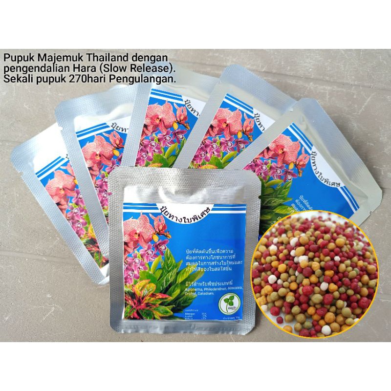 Jual Pupuk Dekastar Osmocote Thailand 20-15-15 Original Slow Release ...