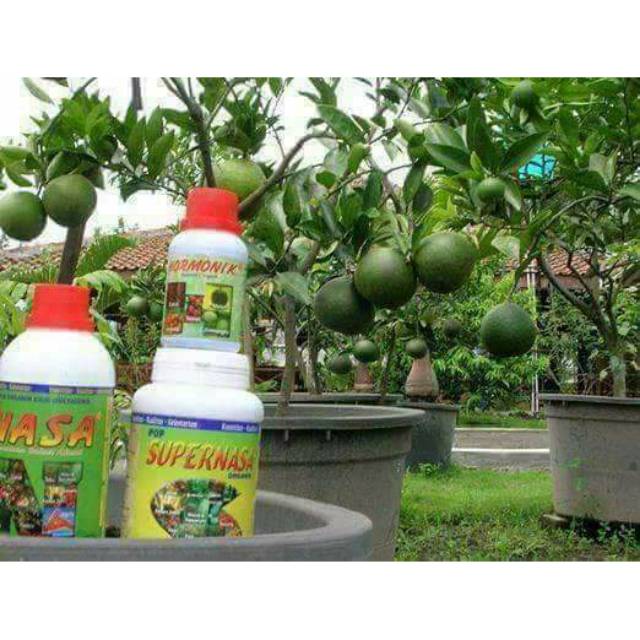 Jual Pocnasa + harmonik + supernasa pelebat buah lengkap untuk awal ...