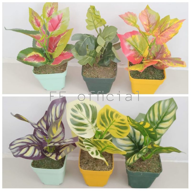 Jual Tanaman Hias artificial+ vas kotak warna warni | Shopee Indonesia