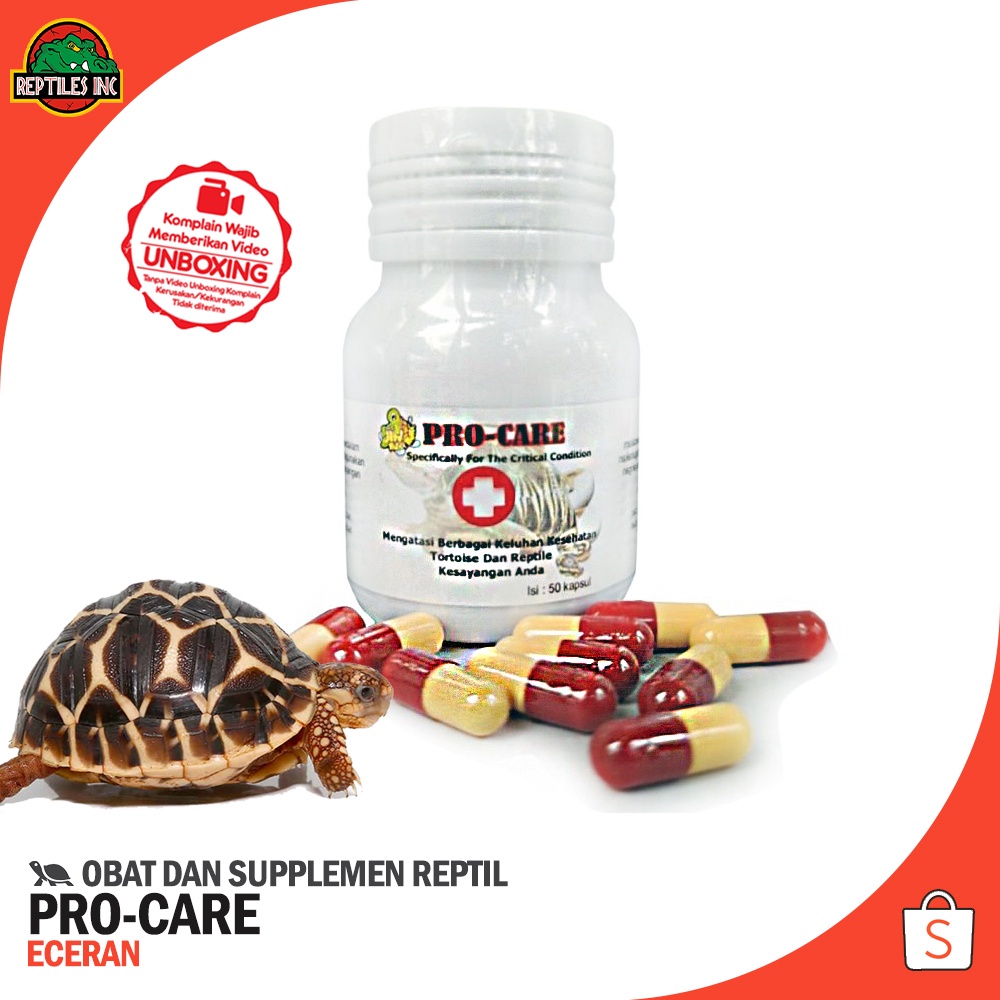 Jual PROCARE PRO CARE Ecer 1 kapsul Obat Sakit Flu Pilek Reptil Kura ...