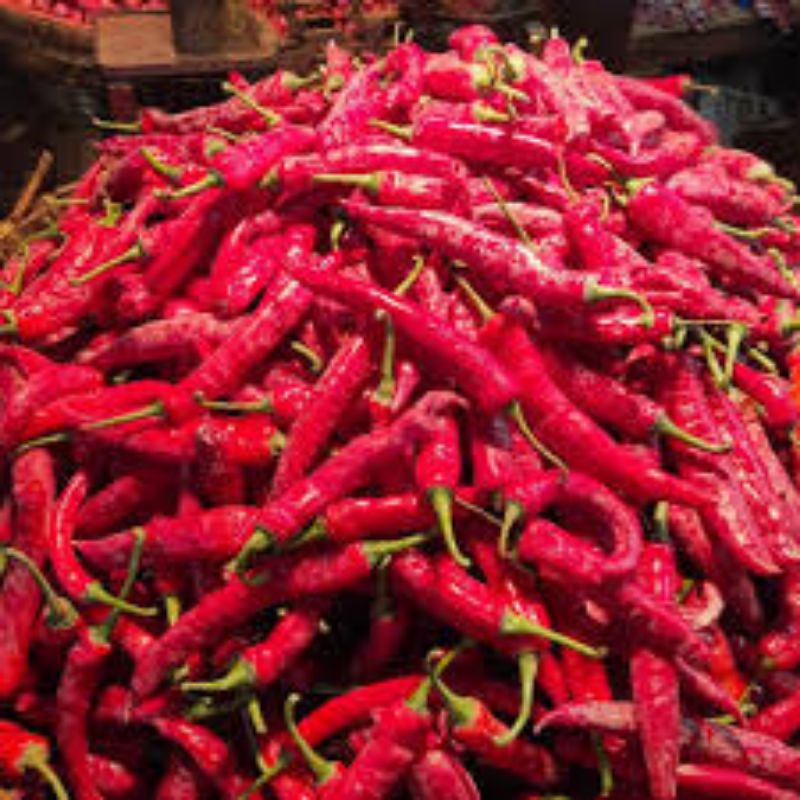 Jual CABAI MERAH/CABE MERAH TANJUNG SEGAR 1Kg | Shopee Indonesia