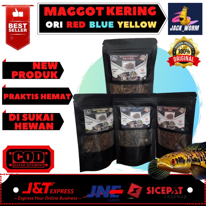 Jual MAGGOT KERING ORIGINAL WARNA MERAH BIRU KUNING VARIAN RED BLUE ...