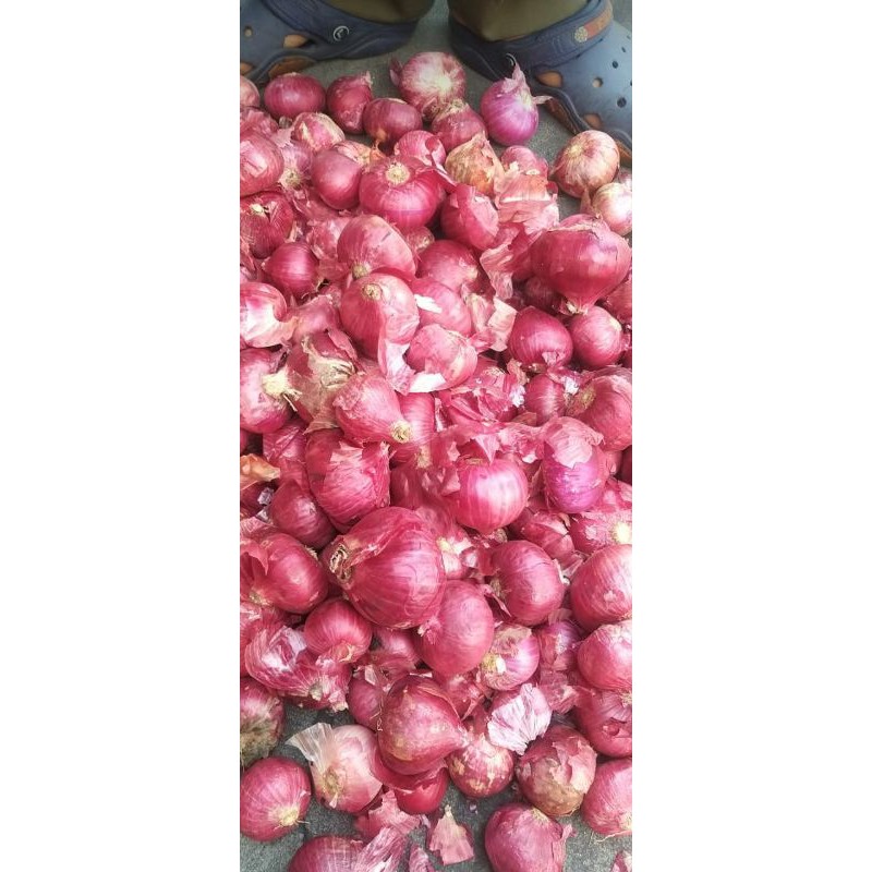 Jual BAWANG MERAH INDIA FRESH SEGAR 1KG | Shopee Indonesia
