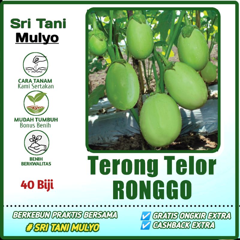 Jual 40 Biji - Benih Terong Telor RONGGO F1 - Bibit Tanaman Sayur ...