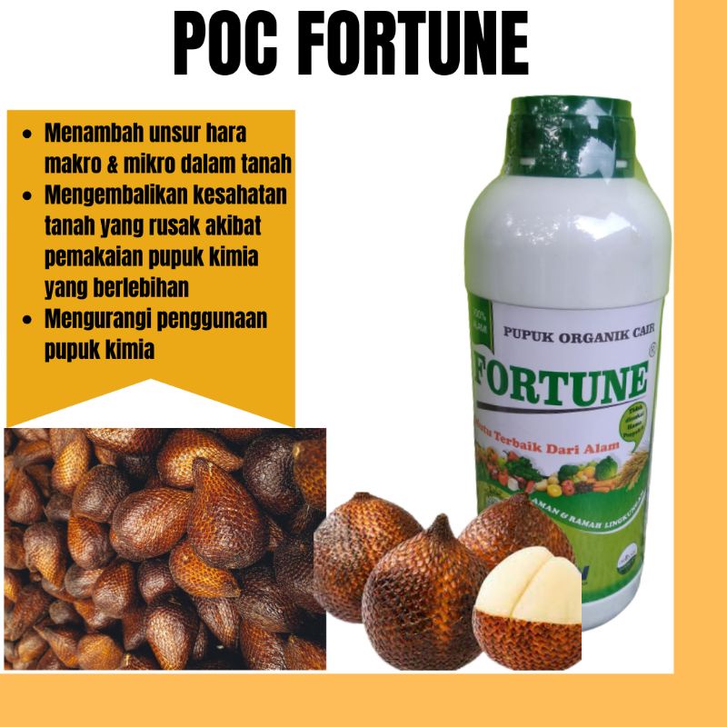 Jual Pupuk Terbaik Untuk Tanaman Salak Pondoh Agar Buah Banyak Dan ...