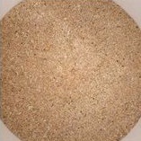 Jual canary seed/kenari seed repack 1kg | Shopee Indonesia