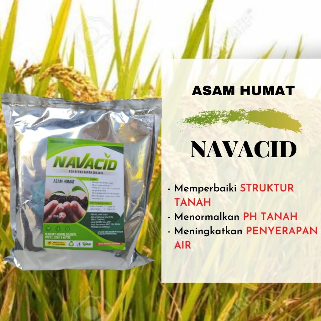 Jual Asam Humat Terbaik, HUMIC ACID NAVACID, Pembenah Tanah Sawah, Pupuk Agar Tanah Gembur ...