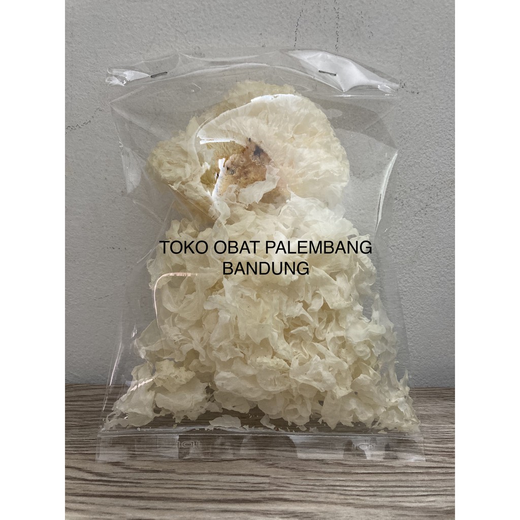 Jual JAMUR PUTIH 10G PAI MU ER DRIED SNOW WHITE FUNGUS JAMUR PUTIH BAI ...