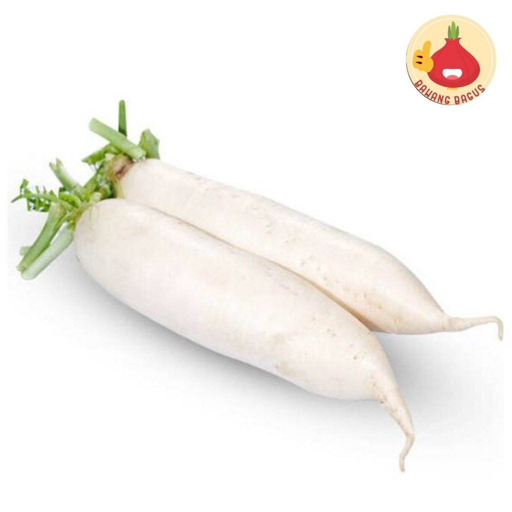 Jual Lobak Putih / Sayur Lobak Putih Segar 500 gram | Shopee Indonesia