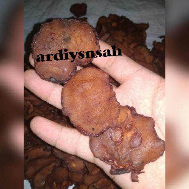 Jual Asam Potong / Asam Gelugur isi 100 gram | Shopee Indonesia
