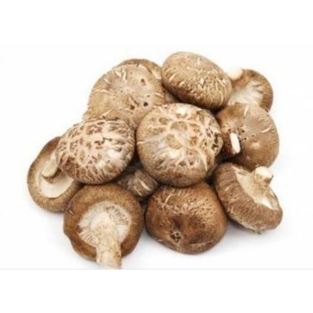 Jual JAMUR HYOKO /SHITAKE 100 GR | Shopee Indonesia