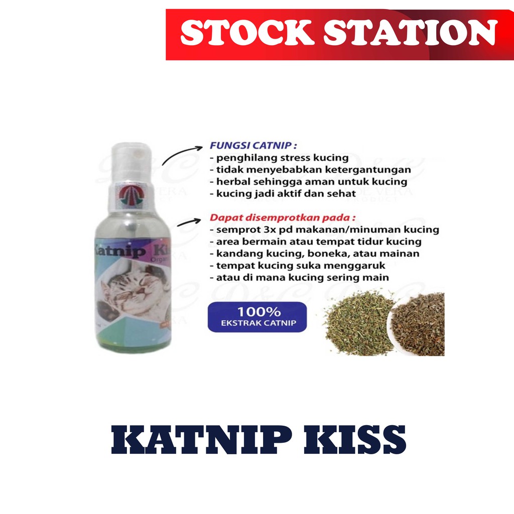 Jual Spray Catnip Organik Herbal Aman Penghilang Stres Kucing Katnip ...