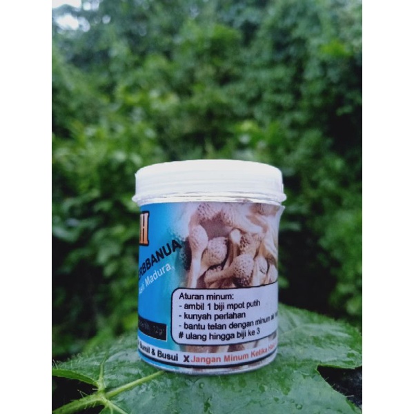 Jual JAMU EMPOT PUTIH ORI TANPA LABEL | Shopee Indonesia