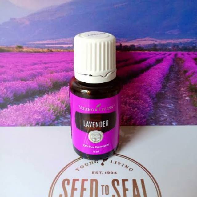 Jual Original [Young Living] Lavender 15ml | Shopee Indonesia