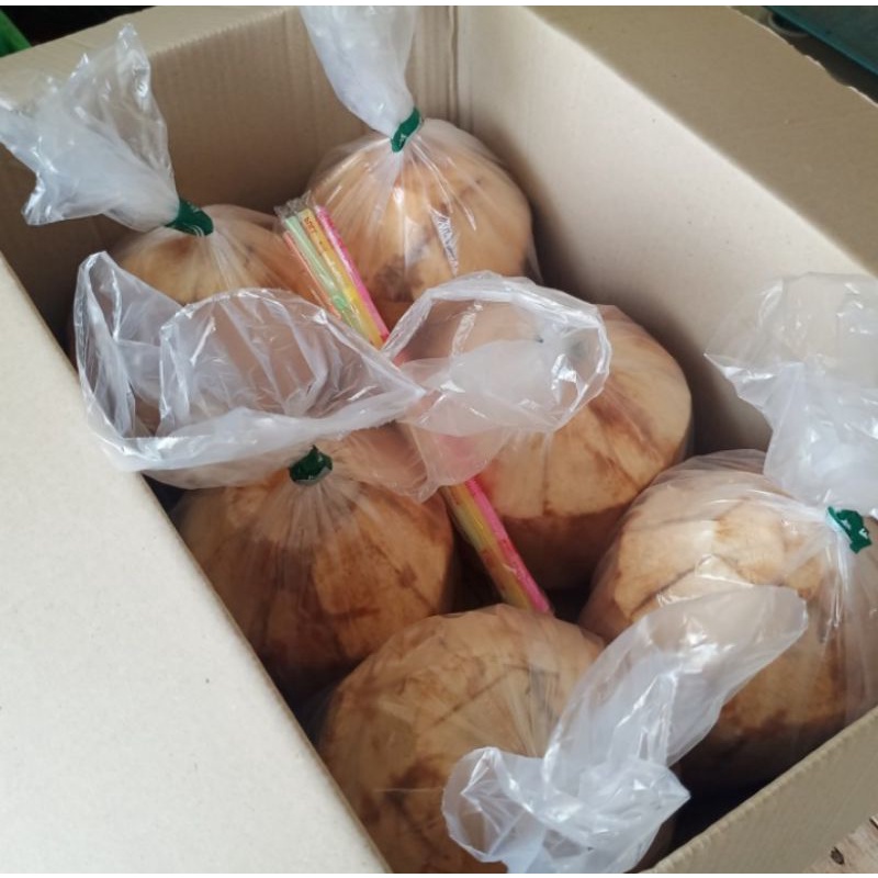 Jual Degan buah kelapa muda utuh 1 biji, segar fresh berkhasiat herbal | Shopee Indonesia