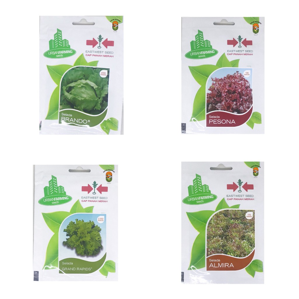 Jual Benih Selada Panah Merah Kemasan Personal Pouch | Shopee Indonesia