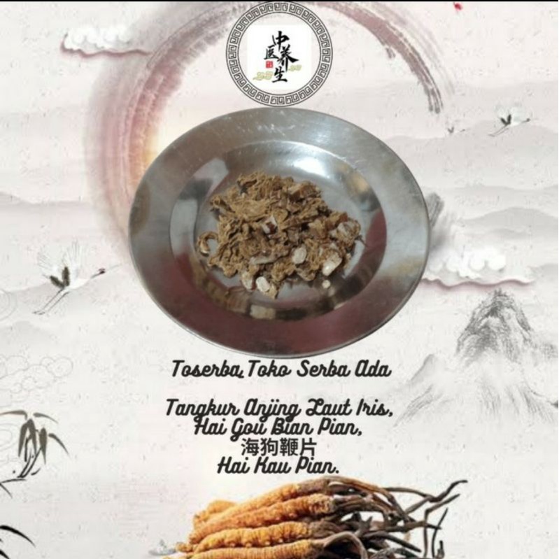 Jual 3gr Irisan Tangkur Anjing Laut Hai Gou Bian Pian 海狗鞭片 | Shopee ...