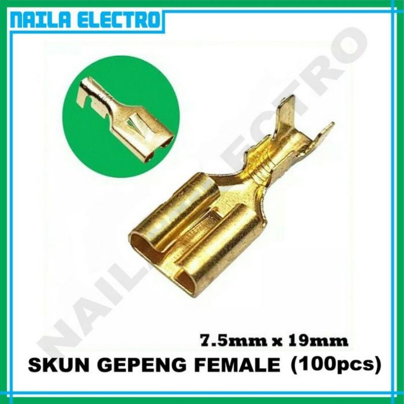 Jual Skun Gepeng Female Besar 100 Pcs Skun Motor Skun Gepeng Cewek ...