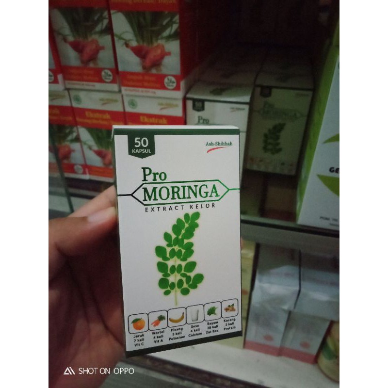 Jual Pro Moringa Ekstrak Daun Kelor Kapsul Daun Kelor | Shopee Indonesia