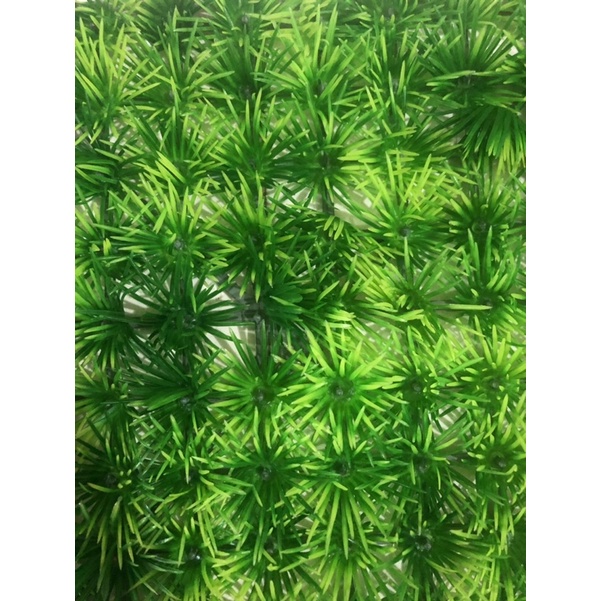 Jual RUMPUT JARUM RUMPUT SINTETIS RUMPUT HIAS AQUARIUM RUMPUT LANTAI ...