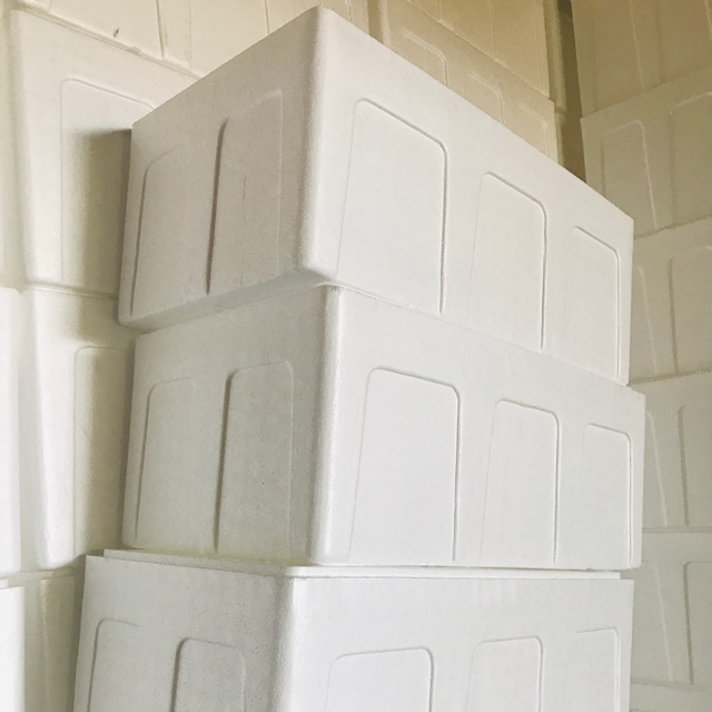 Jual Styrofoam Box Garuda Indonesia Cargo AG 75 | Shopee Indonesia