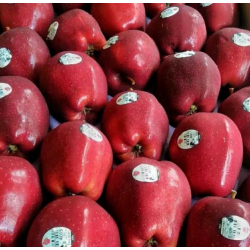 Jual APEL MERAH WASHINGTON FRESH MANIS ( ORIGINAL ) 500 GR | Shopee ...