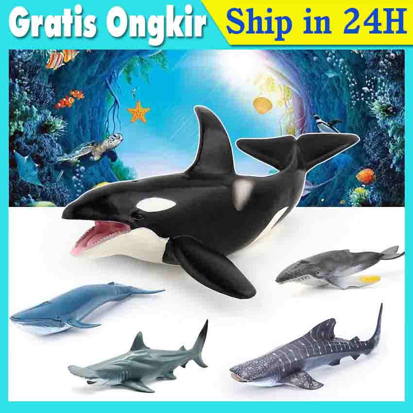 Jual Mainan Simulasi Ikan Paus / figure whale / Mainan Edukasi Anak ...
