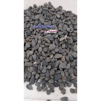 Jual Batu Sumba Alor Hitam Kecil Hiasan Dasar Aquarium 1 kg | Shopee ...