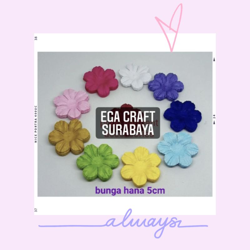 Jual Aplikasi Bunga Hana Hini Uk 5Cm | Shopee Indonesia