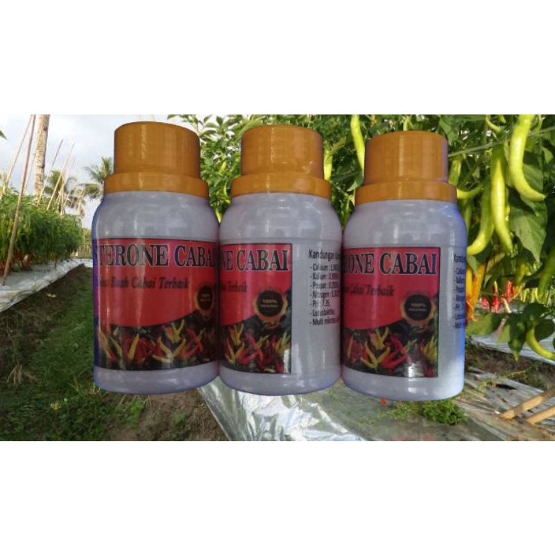 Jual Booster one Cabai pupuk cair pelebat buah cabai terbaik | Shopee ...