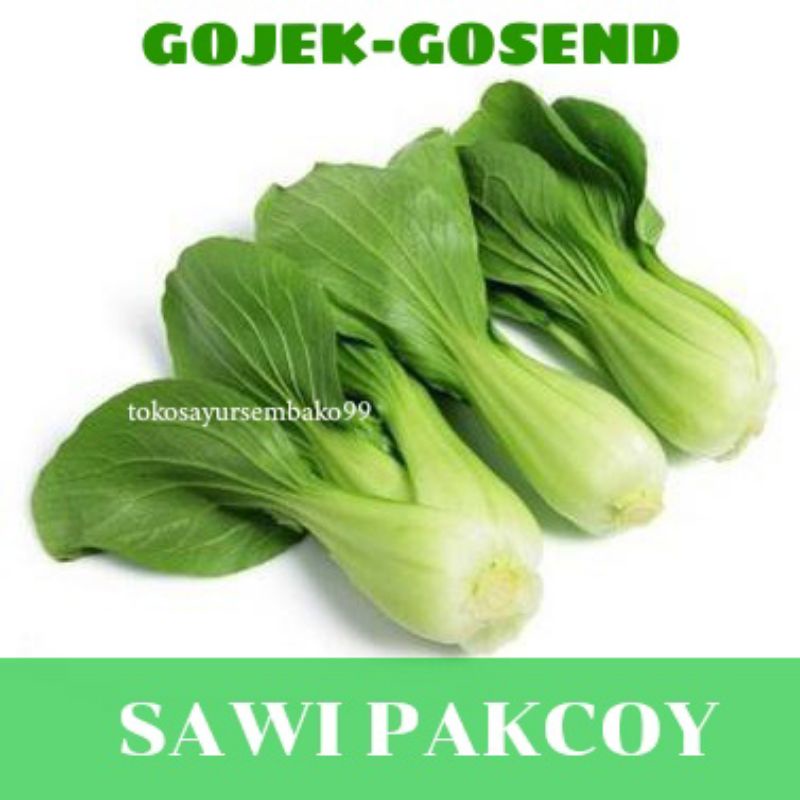 Jual Sayur Sawi daging Pakcoy Segar Fresh 500 gram - 1 kg Surabaya ...