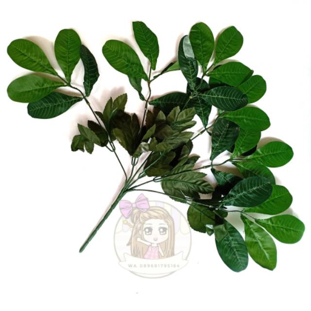 Jual Daun rustik | Shopee Indonesia
