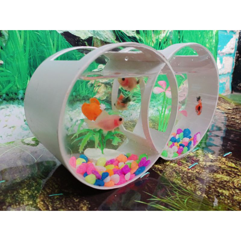 Jual aquarium mini unik double kombinasi bulat cupang kura-kura ...