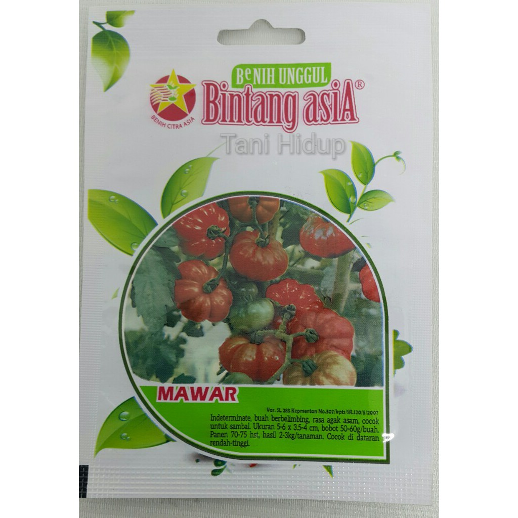 Jual Benih Tomat Mawar isi 125 butir - Bintang Asia | Shopee Indonesia