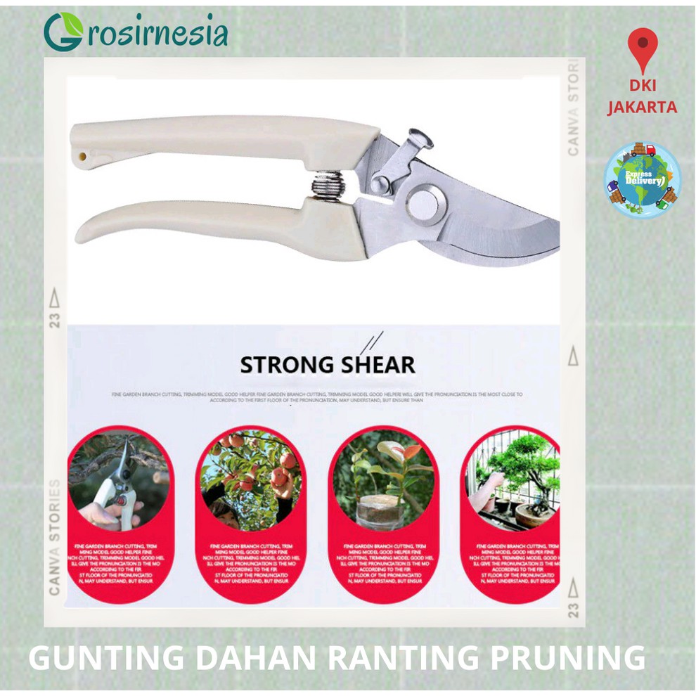 Jual Peralatan Berkebun Gunting Dahan Ranting Tanaman Hias Alat Potong ...
