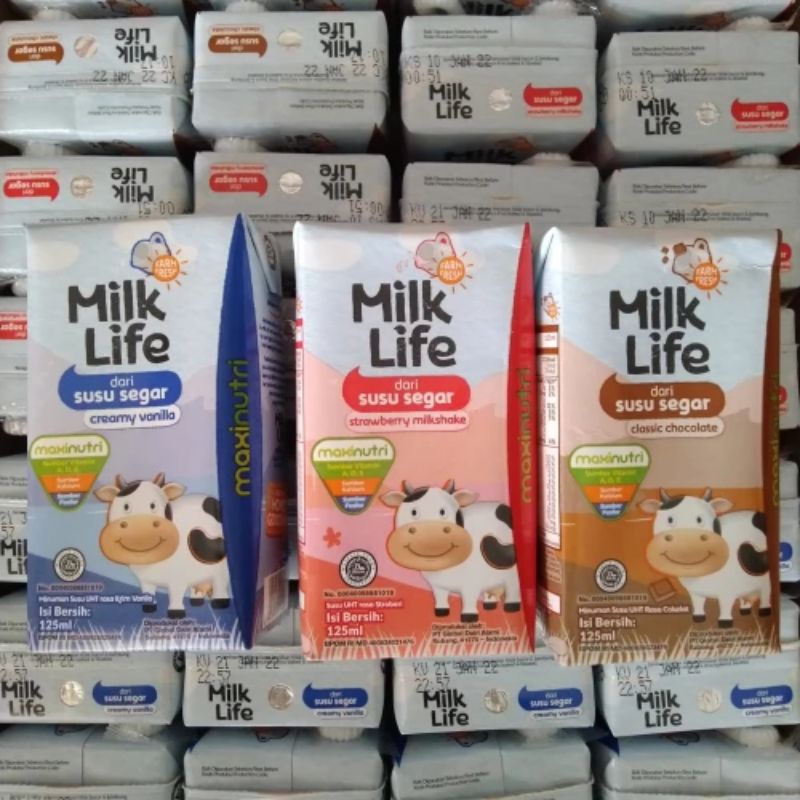 Jual Milk Life 115ml / Susu UHT | Shopee Indonesia