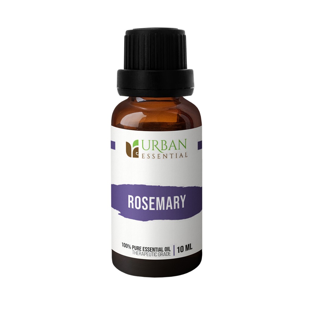 Jual Urban Essential ROSEMARRY [100% Pure Essential Oil] Essential Oil ...