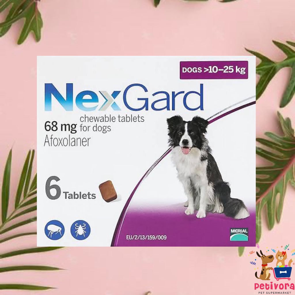 Jual NEXGARD 10-25KG Obat Kutu Anjing Demodex Chewable Harga per Tablet ...