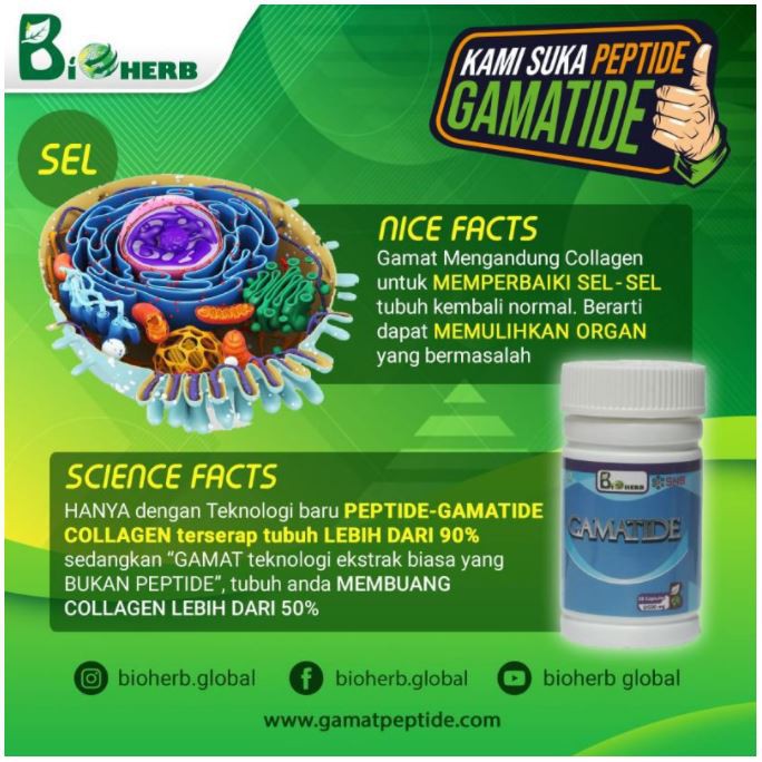 Jual Gamat Peptide by Bioherb Gamatide Suplemen Kesehatan | Shopee ...