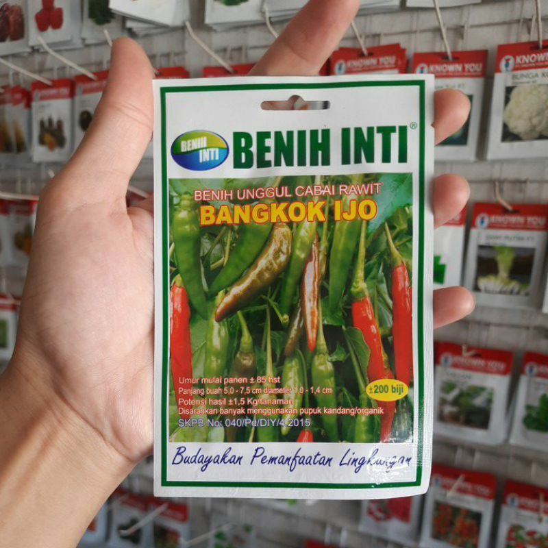 Jual benih sayur cabe rawit hijau BANGKOK IJO ( 200btr) | Shopee Indonesia